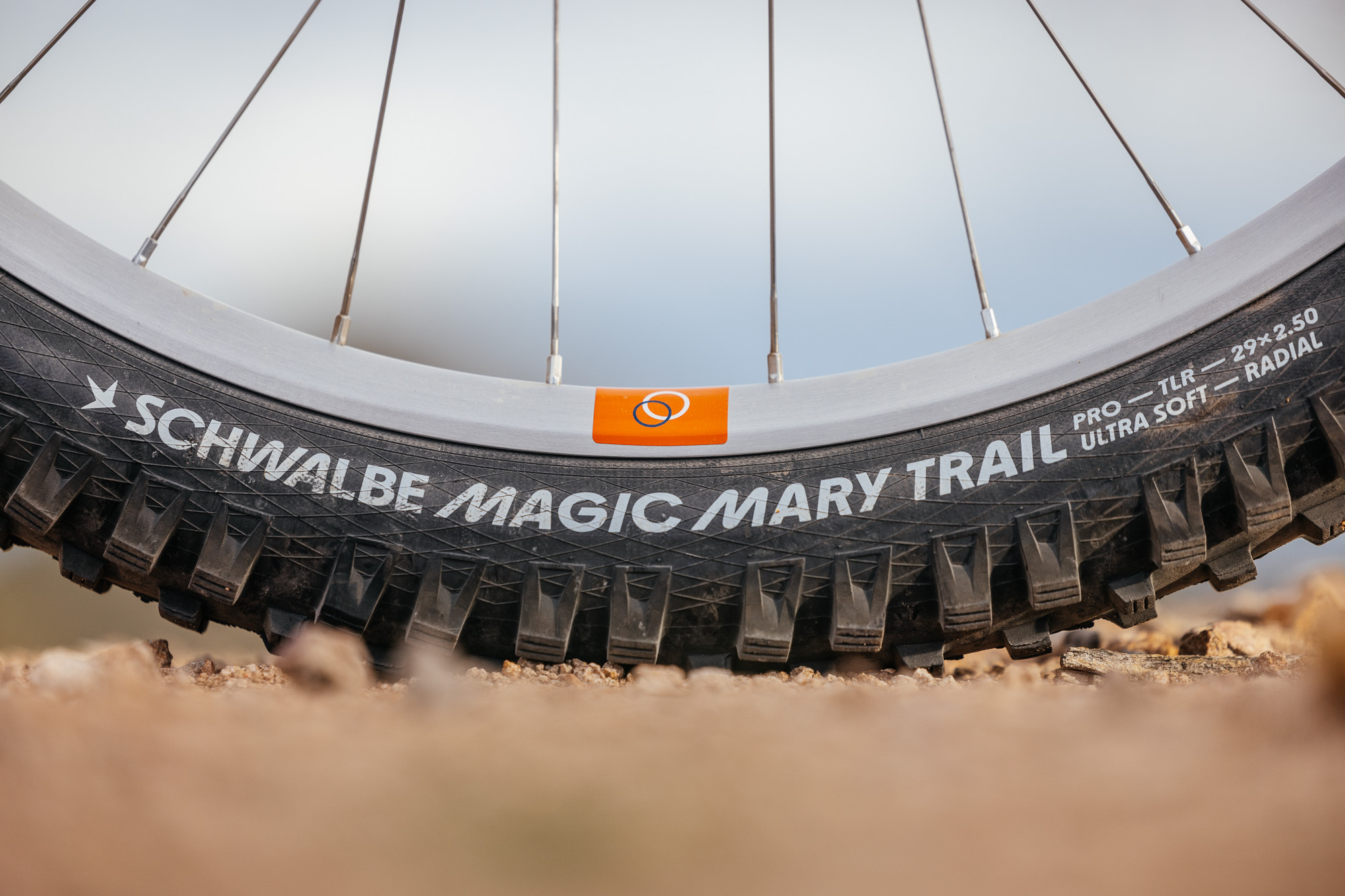 Astral Serpentine Wheels in Matte Aluminum Review: Silver Surfer – John ...
