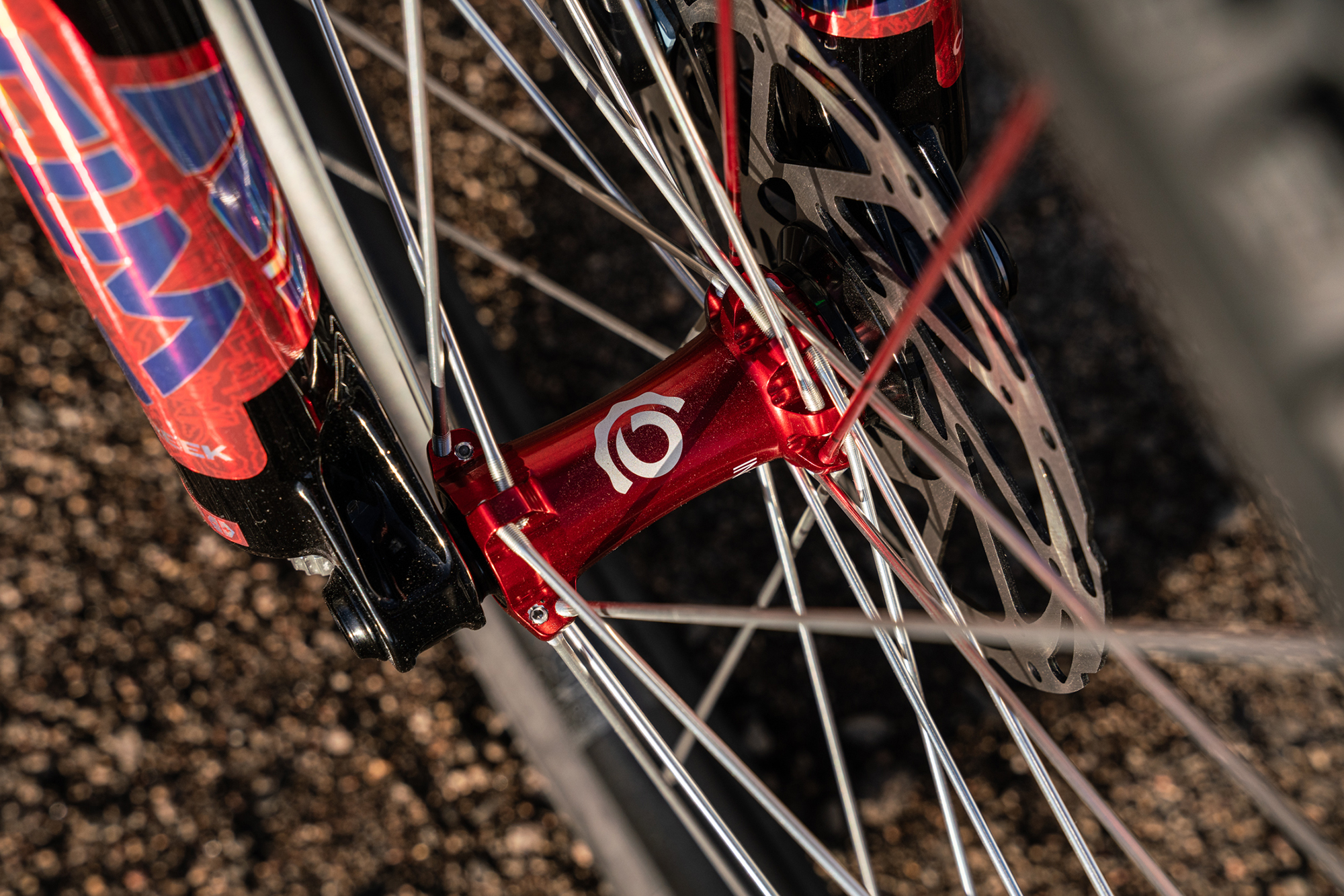 Reeb Cycles Re:Dikyelous Hardtail | The Radavist | A group of ...