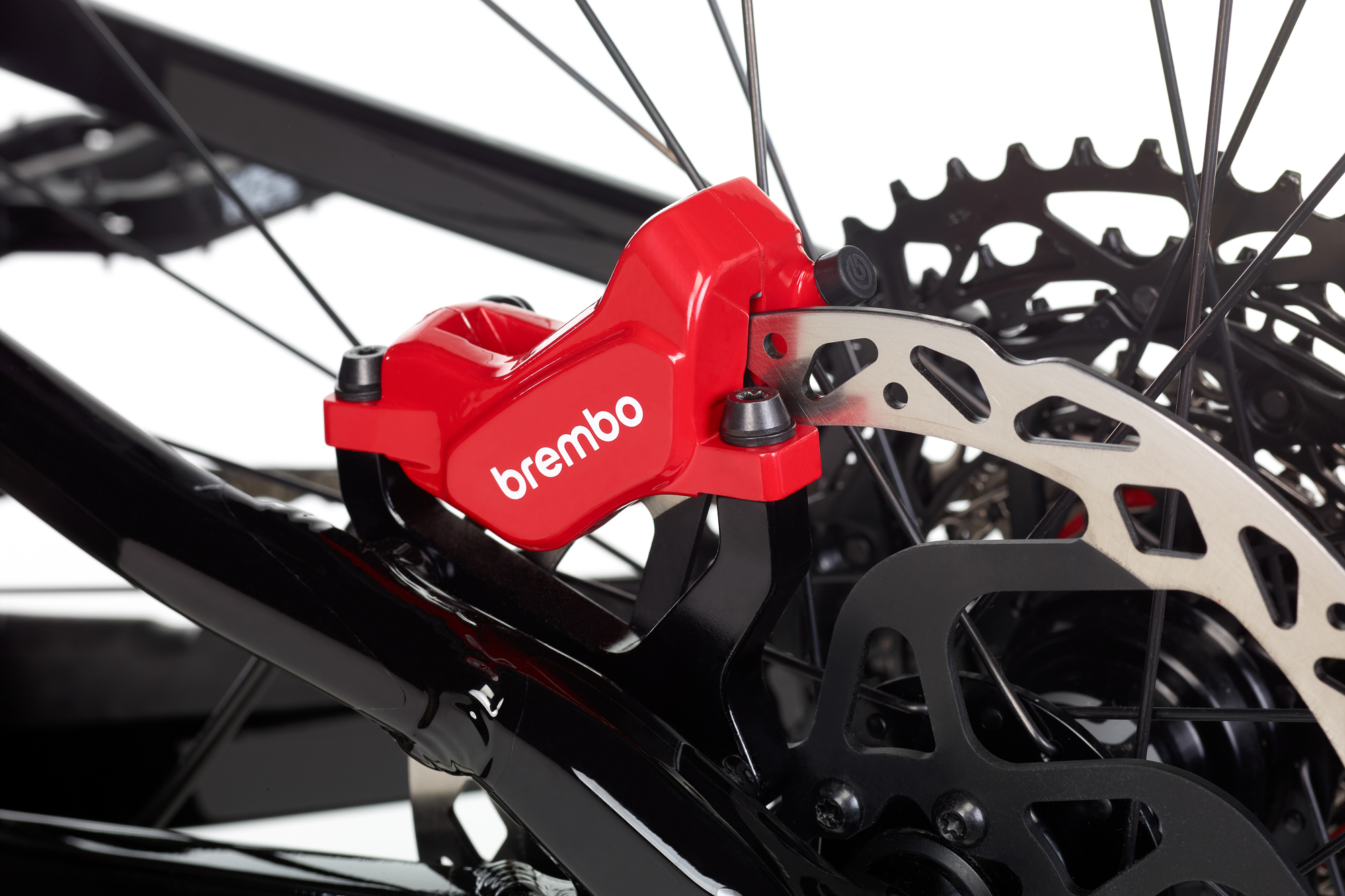 The Secretive Brembo GR-Pro MTB Brakes Go Public | The Radavist | A ...