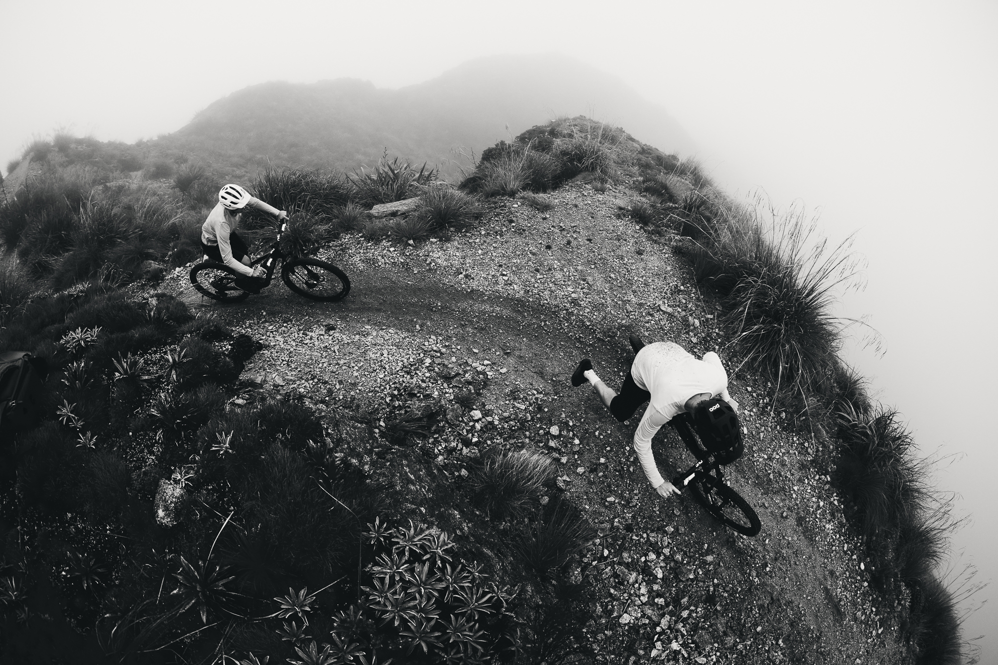 The New Santa Cruz Tallboy Ditches VPP | The Radavist | A group of ...